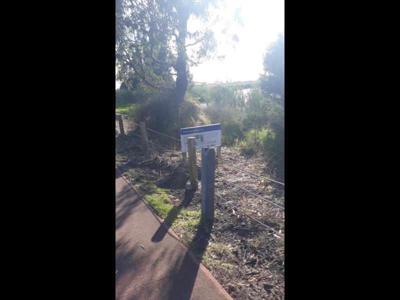 Cherry Lake - Walking Maps