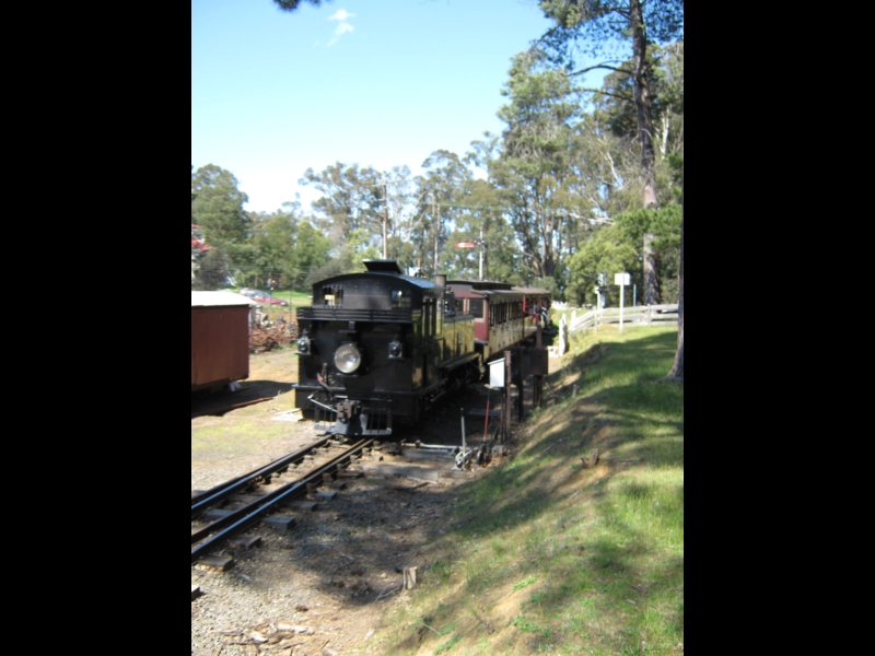 Wright Forest - Walking Maps