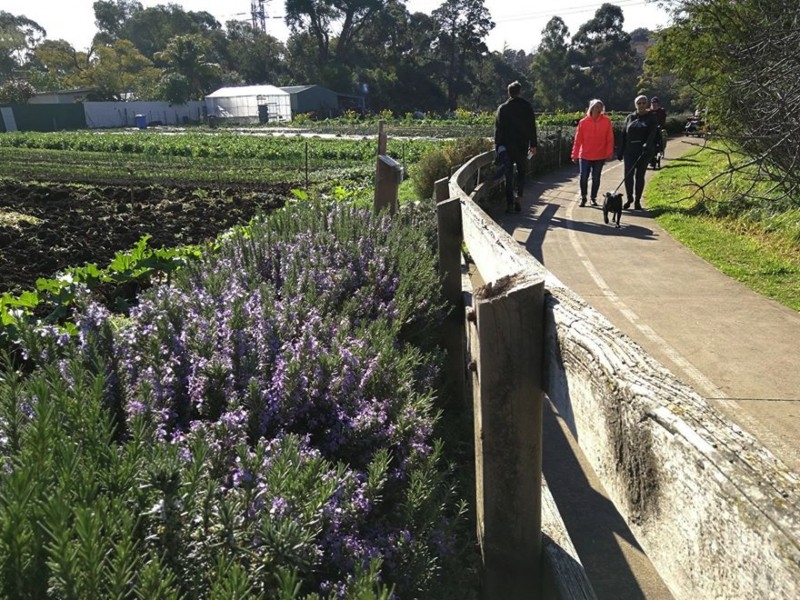 Merri Creek urban hike: Preston to City via Fitzroy - Walking Maps
