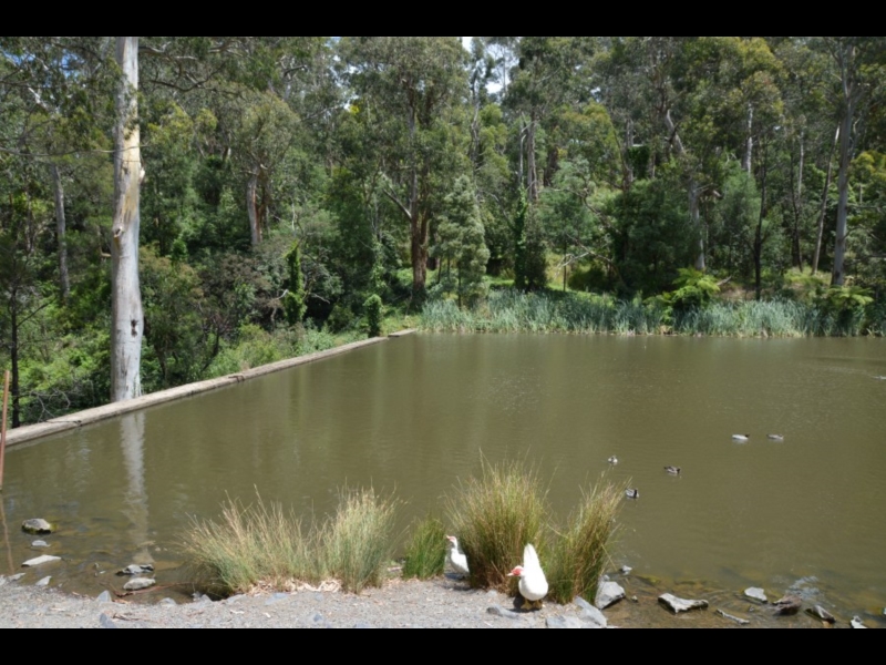 Belgrave lake park - Walking Maps