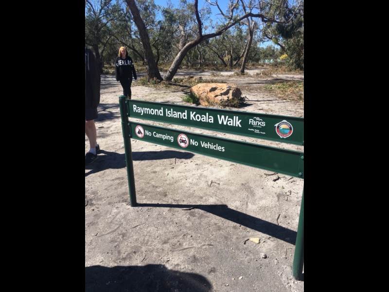 Raymond Island Koala Walk - Walking Maps
