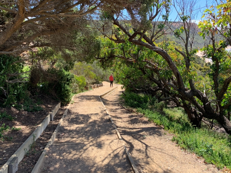 Point Addis walk - Walking Maps