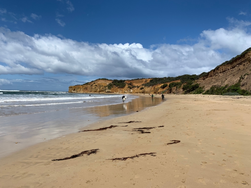 Point Addis walk - Walking Maps