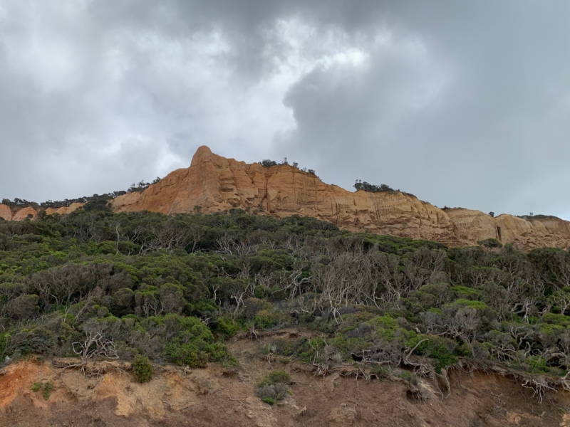 Point Addis walk - Walking Maps