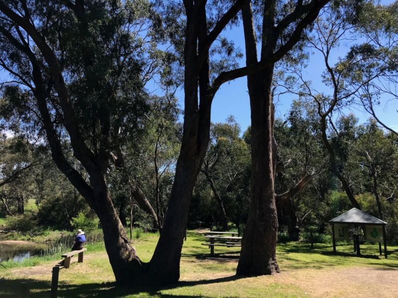 Bridge to Bridge Walk, Strathbogie - Walking Maps