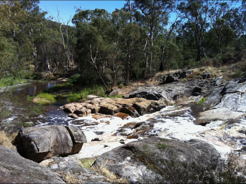 Gooram Falls Walk, Gooram - Walking Maps
