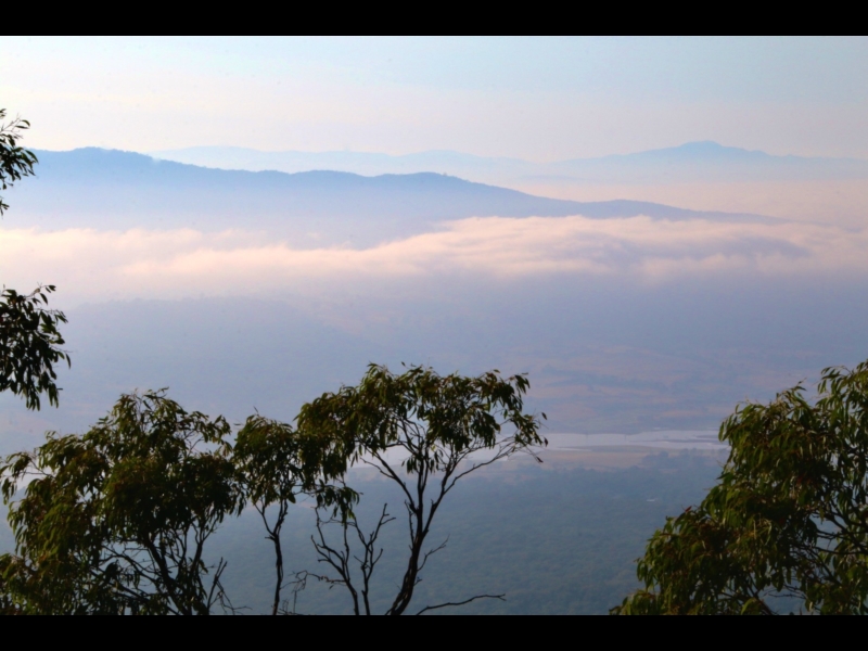 Golden Mountain Walk, Strathbogie Forest - Walking Maps