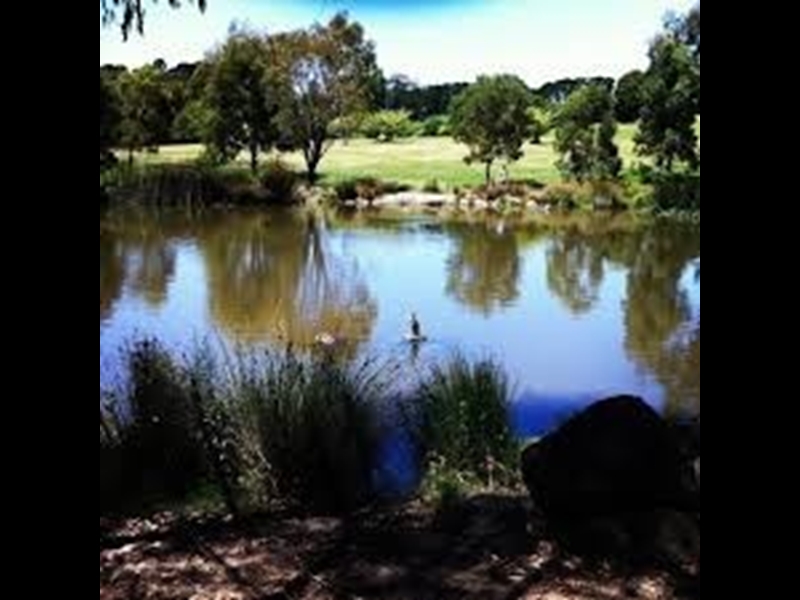 doncaster/Ruffy park walk - Walking Maps