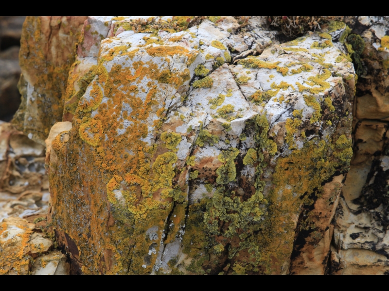 Stretch your Legs - Walking Maps