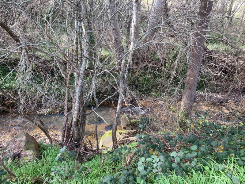Creswick Creek loop walk - Walking Maps