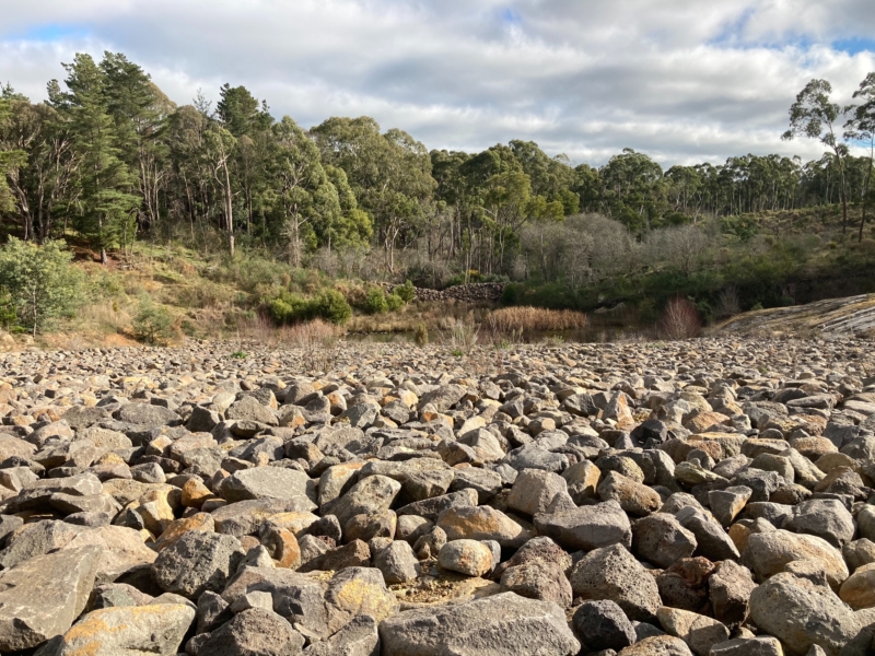 Creswick Creek loop walk - Walking Maps