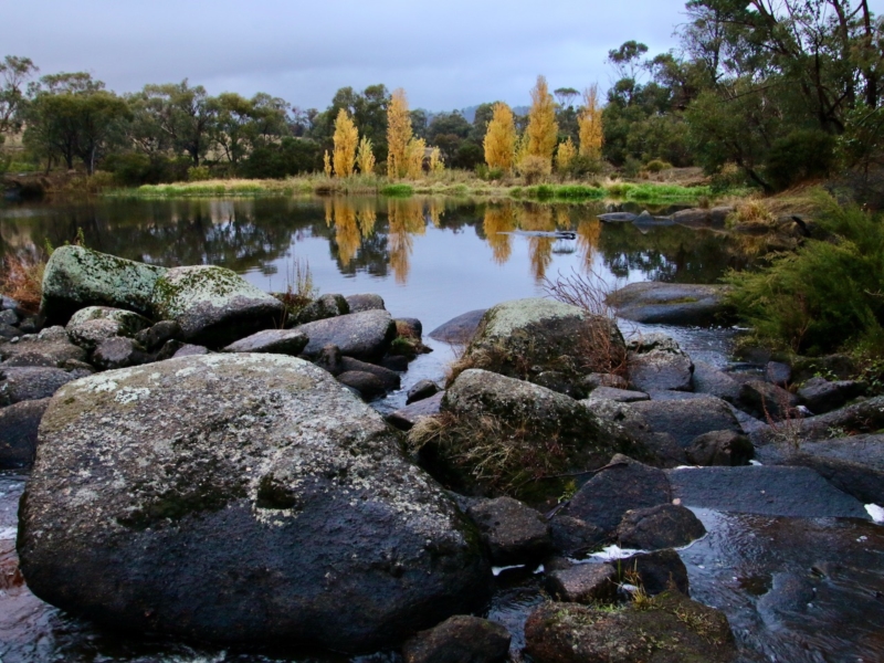 Polly's Walk, Strathbogie Tableland - Walking Maps