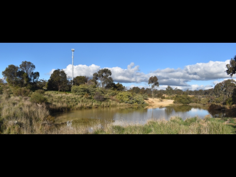 Honeyeater Bushland Reserve Rim Walk - clockwise - Walking Maps