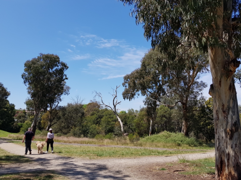 A tale of two parks, Essendon - Walking Maps