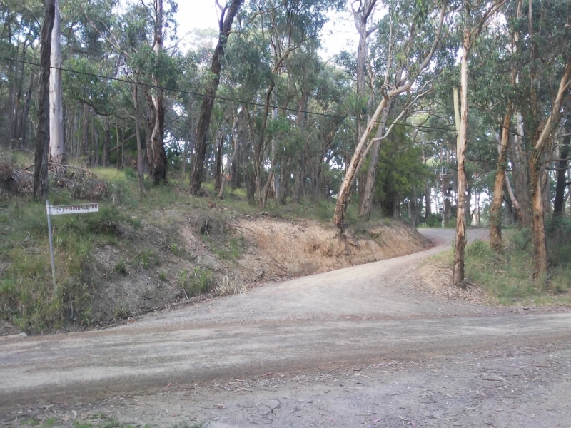 Ferndale - Walking Maps