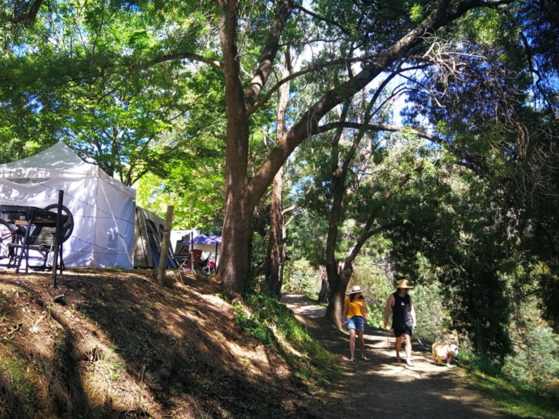 Cherry Walk, Bright - Walking Maps