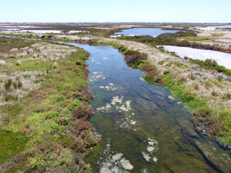 Point Cook Coastal Park Walk - Walking Maps