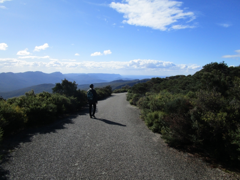 Mt William - Walking Maps