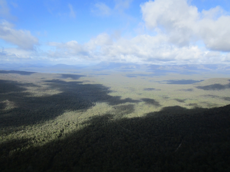 Mt William - Walking Maps