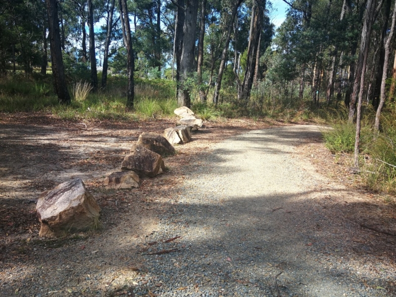 Easy Magic forest walk, Bruthen - Walking Maps