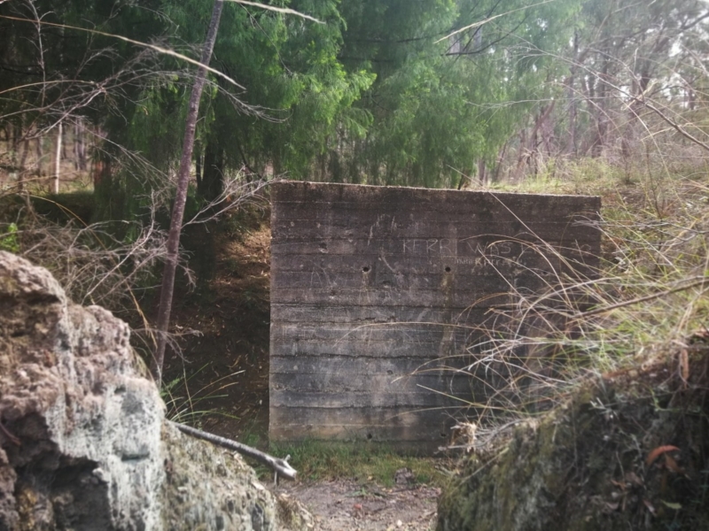 Explosive Magazine circuit walk, Bruthen - Walking Maps