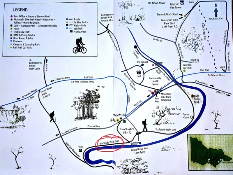 Nowa Nowa wetlands walk - Walking Maps