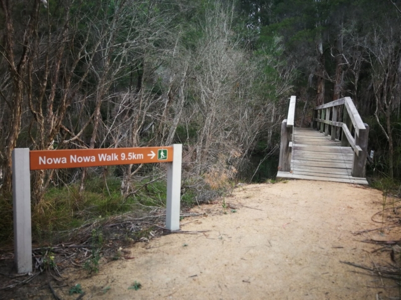 Nowa Nowa wetlands walk - Walking Maps