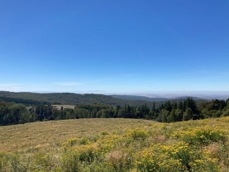 Mount Macedon hike - Walking Maps