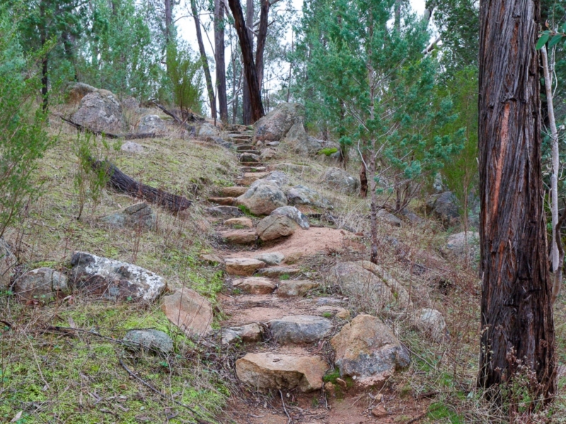 Pine Gully Nature Trail - Walking Maps