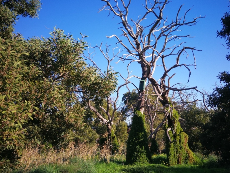 Point Richards Flora and Fauna Reserve, Portarlington - Walking Maps