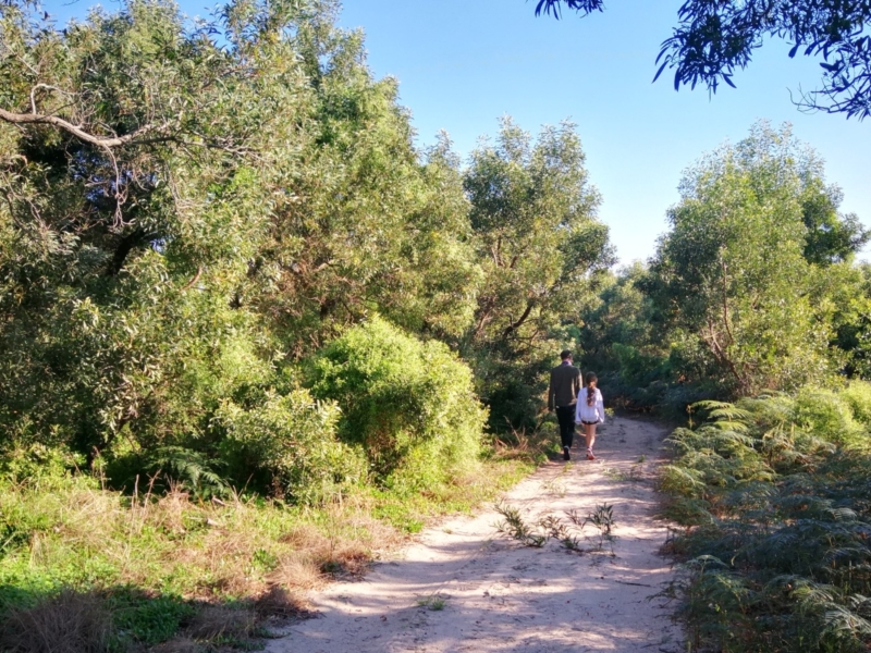 Point Richards Flora and Fauna Reserve, Portarlington - Walking Maps