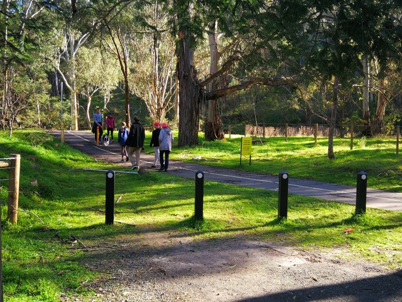 Diamond Creek to Wattle Glen, Diamond Creek Trail - Walking Maps