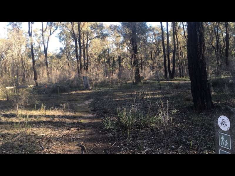 Springtime Flower Walking Track (Warby-Ovens National Park) - Walking Maps