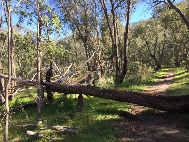 Salisbury Falls walk - Walking Maps