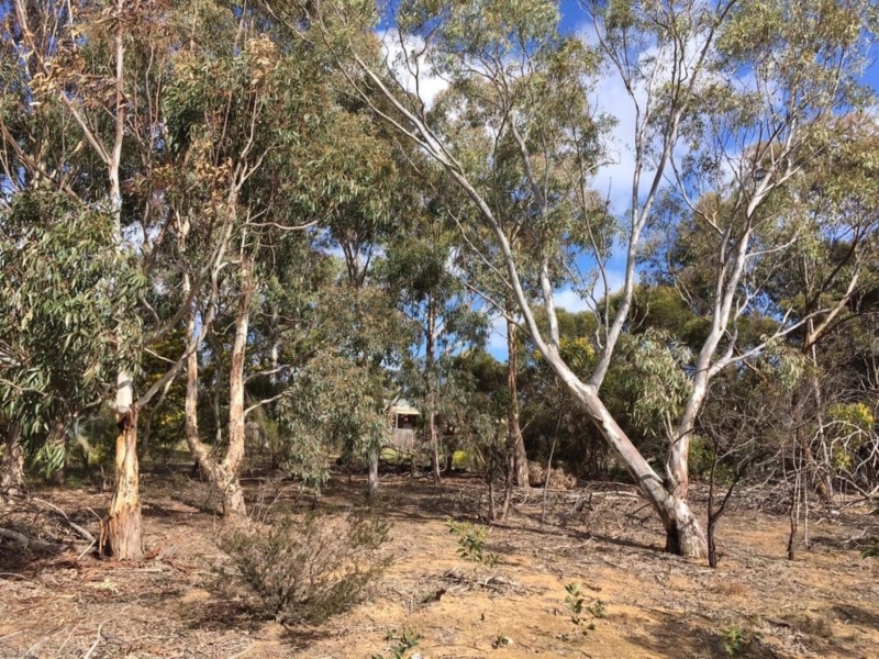 Moonee Ponds Creek: Boeing Reserve to JP Fawkner circuit - Walking Maps
