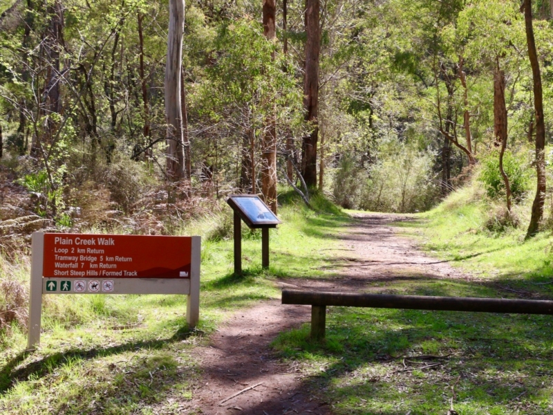 Plain Creek Falls Walk, Merrijig - Walking Maps