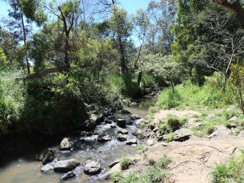 Retarding Basin Walk - Walking Maps