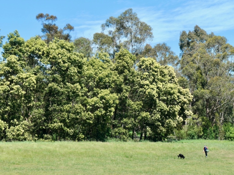 Retarding Basin Walk - Walking Maps