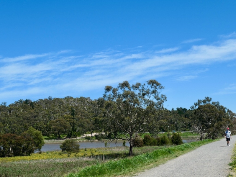 Retarding Basin Walk - Walking Maps