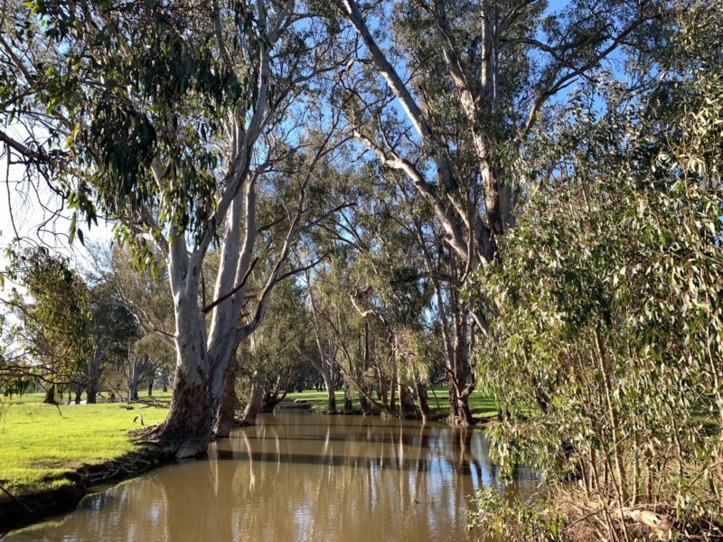Boardwalks & bridges at Bandiana - Walking Maps