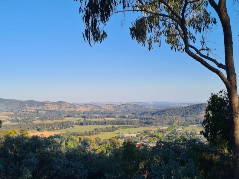 Reform Hill, Myrtleford Threatened Species Mosaic Trail - Walking Maps