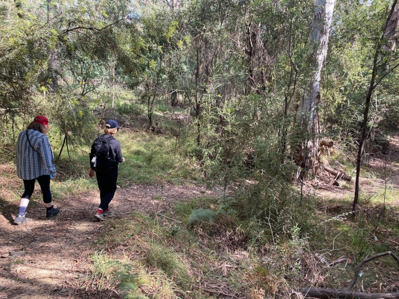 Wandi Walk, Bright to Wandiligong - Walking Maps