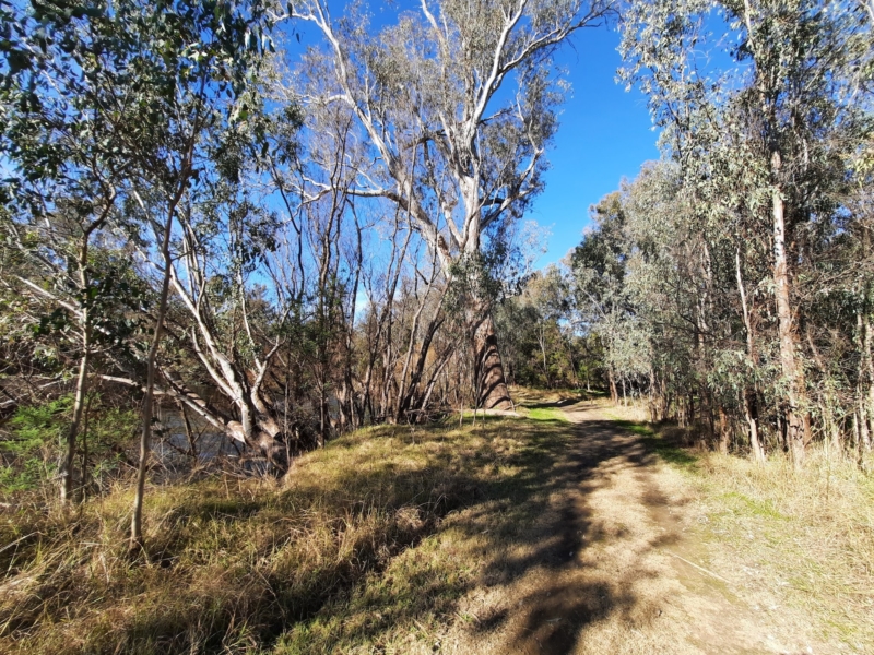 Huon Hill Cruisy Circuit - Walking Maps