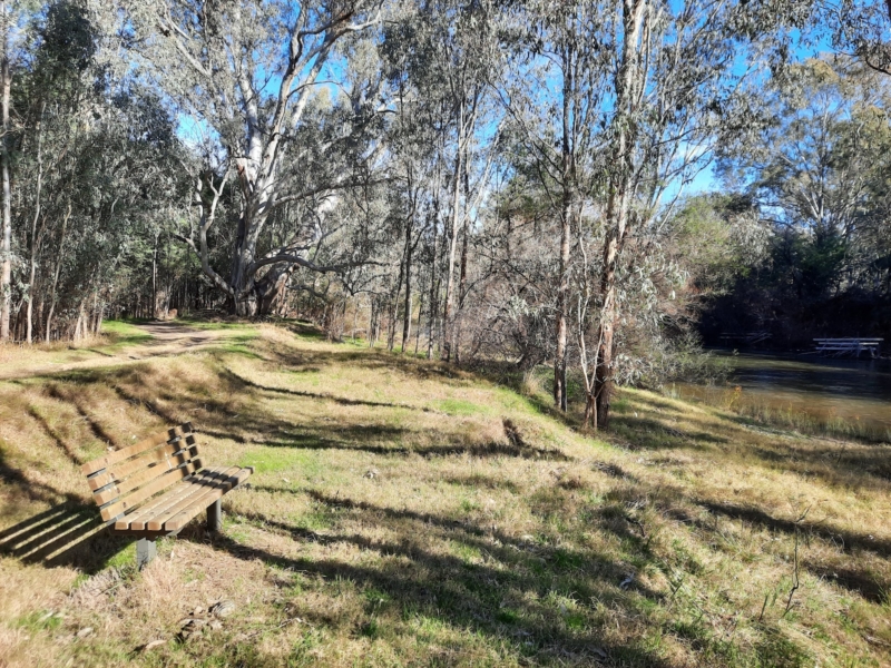 Huon Hill Cruisy Circuit - Walking Maps