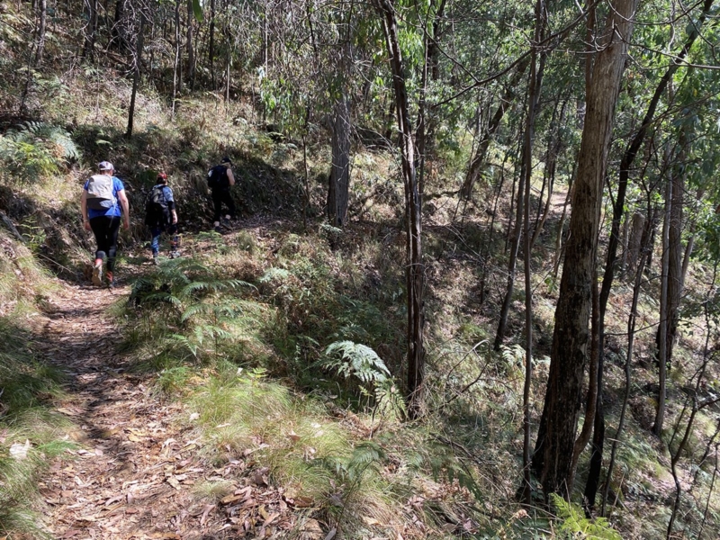 The Big Walk, Mount Buffalo - Walking Maps