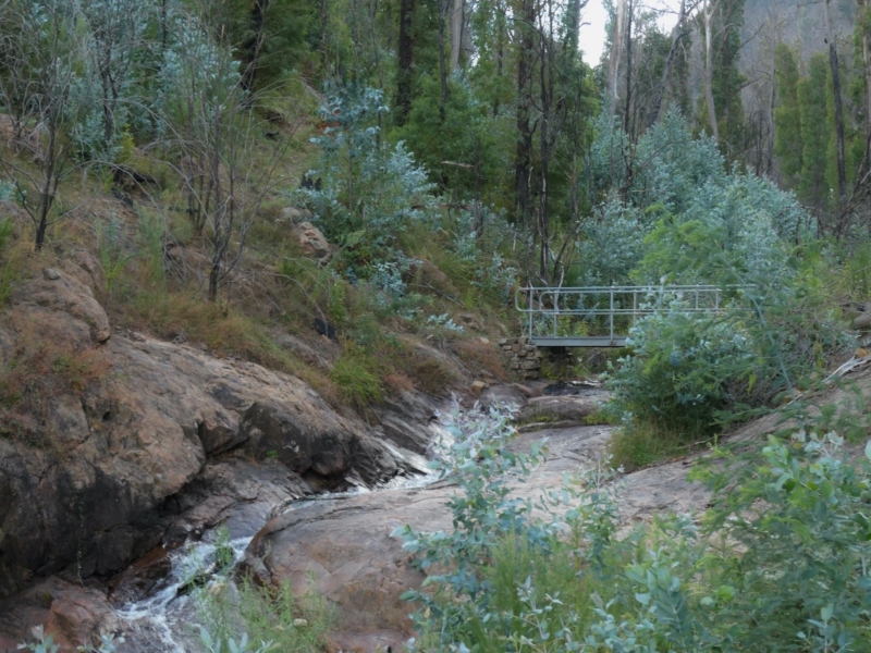 Lower Lookouts walking track, Cudgewa - Walking Maps