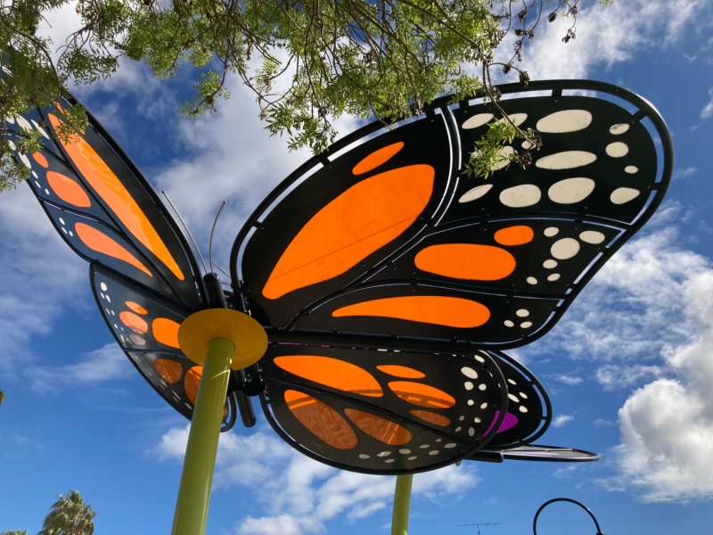 Bendigo lakes walk (Eaglehawk) - Walking Maps