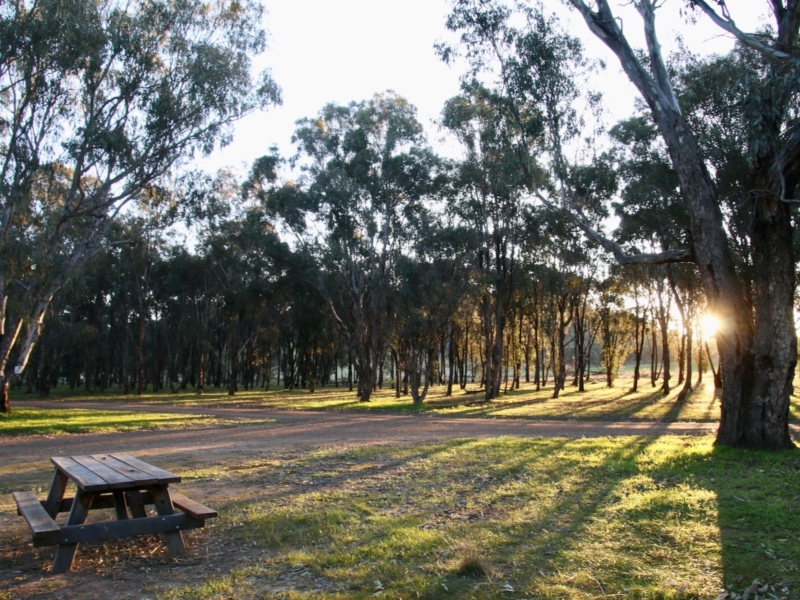 Heron Loop Walk, Winton Wetlands - Walking Maps