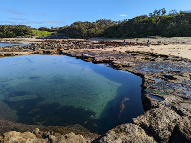 Cape Paterson Clifftop to Surf Club and beach return - Walking Maps