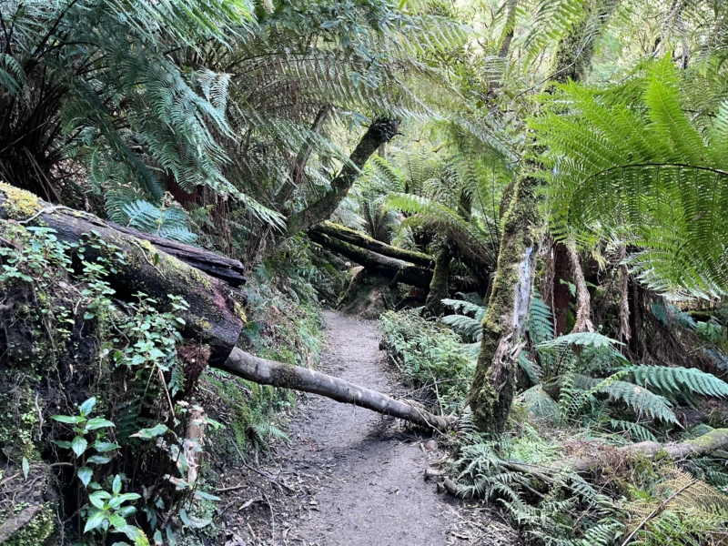 Hopetoun Falls - Walking Maps